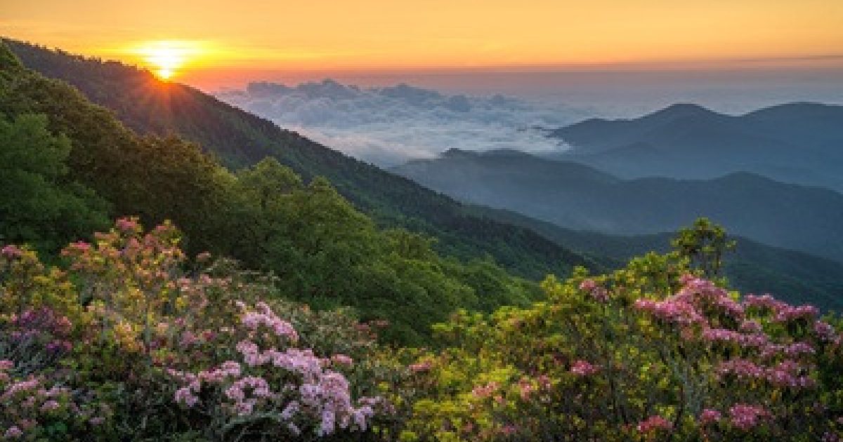 Smoky Mountain Springtime | American Classic Tours